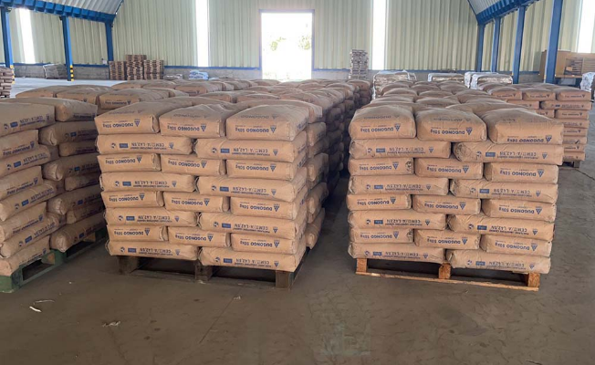 Moçambique Dugongo Cimentos Co, SA