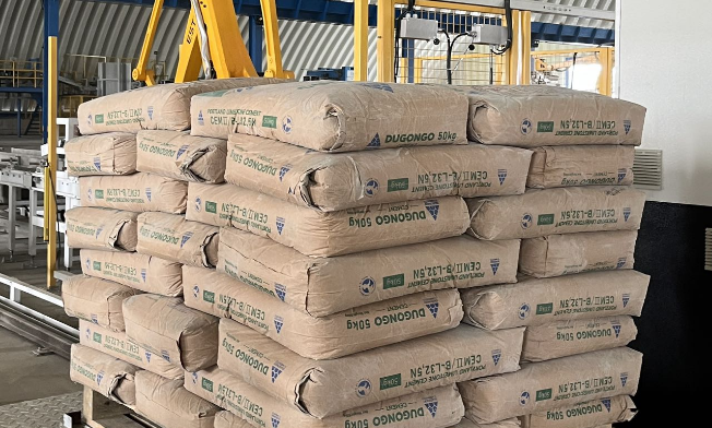 Moçambique Dugongo Cimentos Co, SA